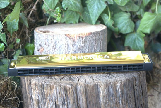 24 Note Harmonica Whether you're a seasoned musician or a beginner ...