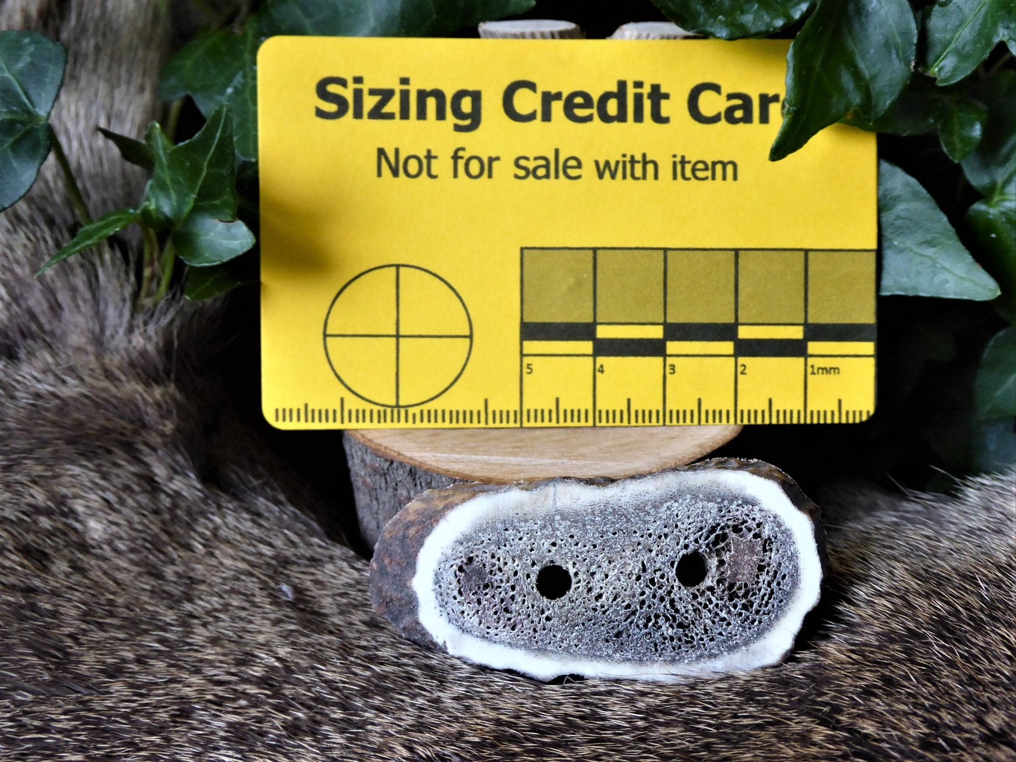 Large Antler Button - Lozenge or rectangle – Hugginsattic