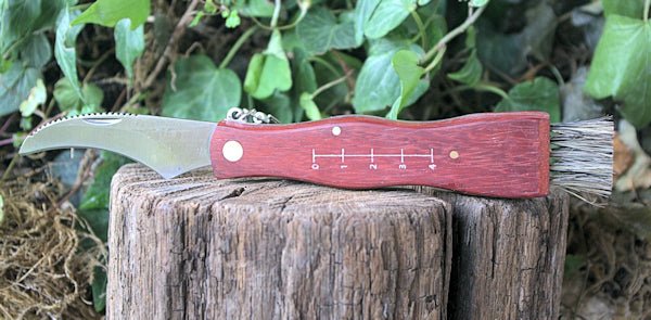 Mushroom Knife for foraging for funghi for food – Hugginsattic