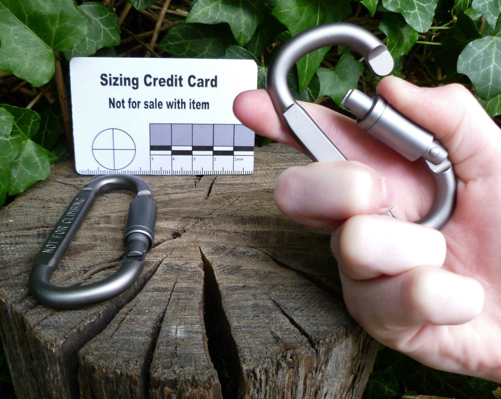 Pair of Grey Smooth Screw gate Carabiner – Hugginsattic