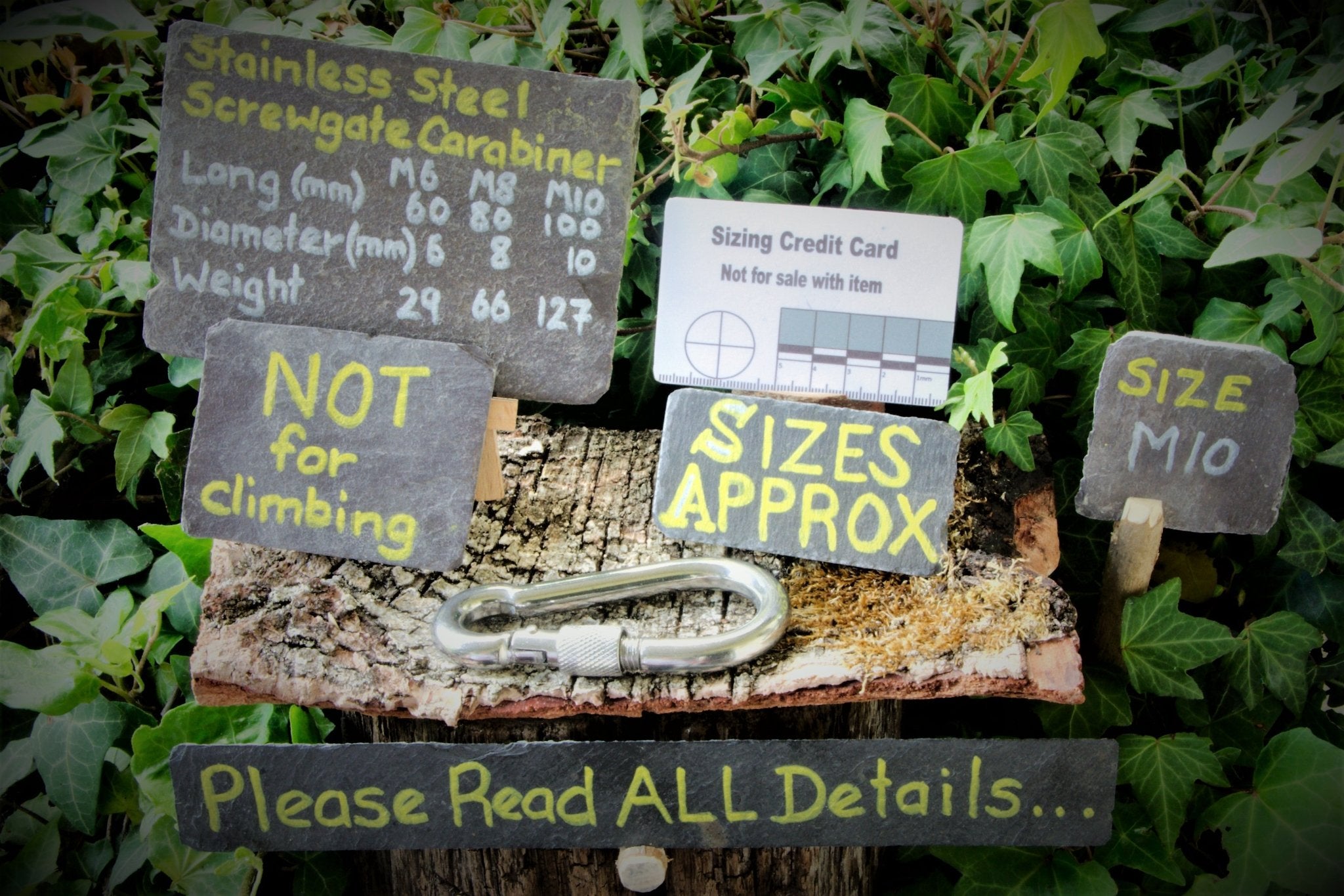 Stainless steel Screw gate Carabiners (M10). – Hugginsattic