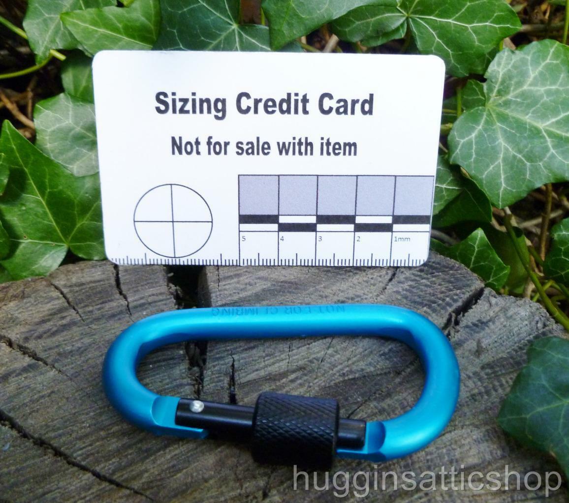 Pair of Light Blue/ Turquoise Screwgate Carabiner – Hugginsattic