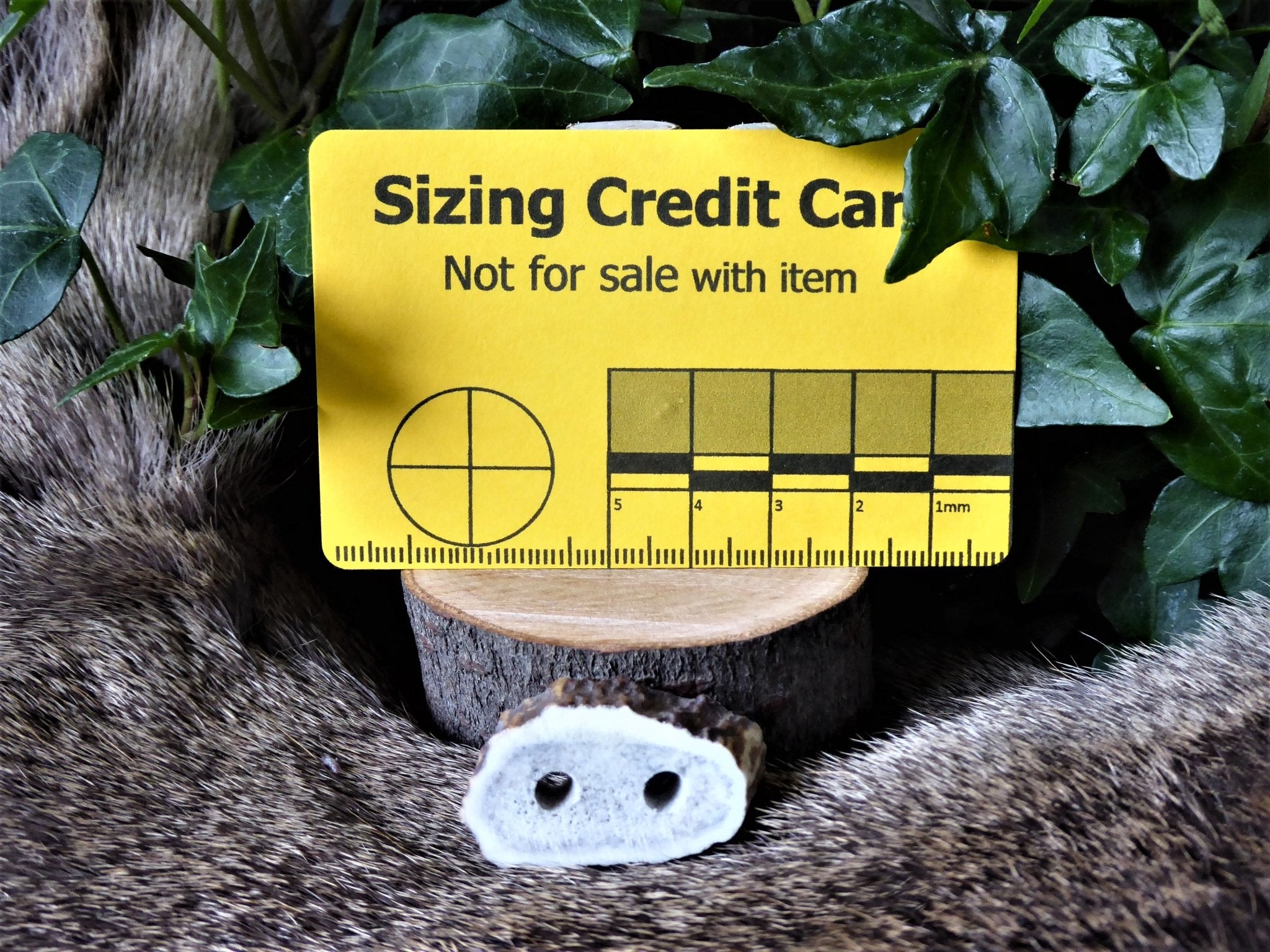 Small Antler Button - Lozenge or rectangle shape – Hugginsattic