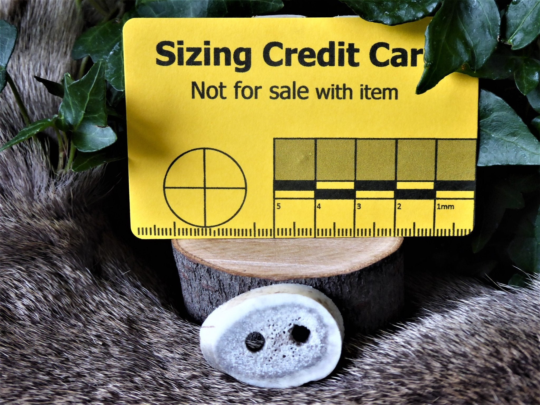 Small Antler Button - Lozenge or rectangle shape – Hugginsattic