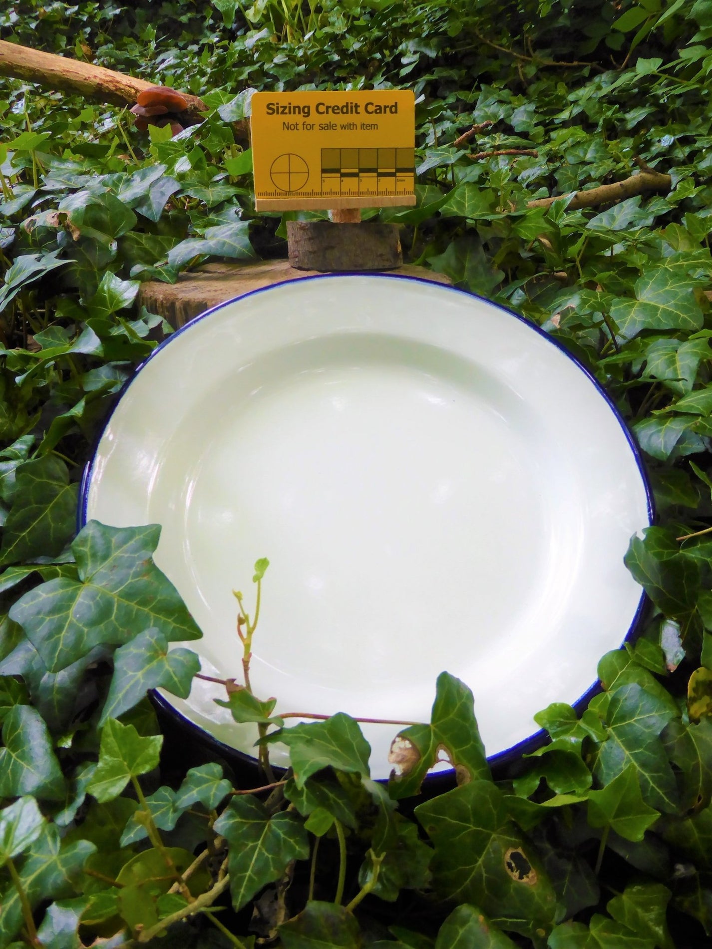White Enamel Blue rim Mug,Bowl & Plate set – Hugginsattic
